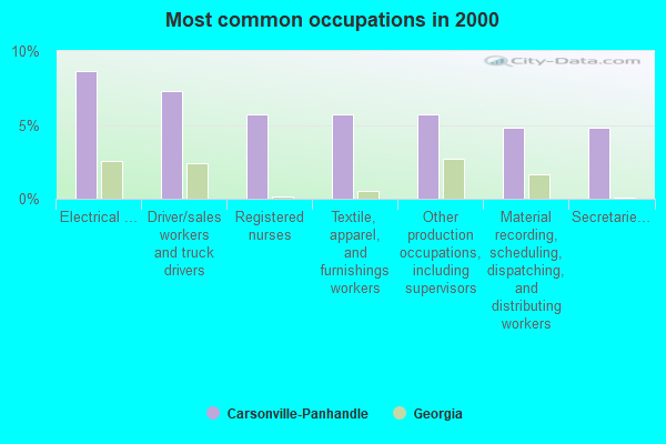 Carsonville-Panhandle, Georgia (GA 31006) profile: population, maps ...