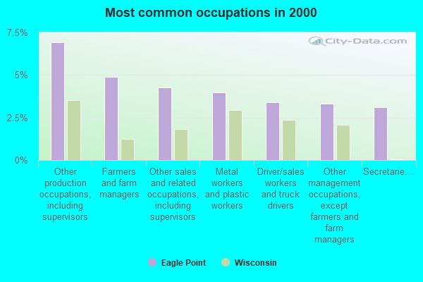 Eagle Point, Wisconsin (WI 54729) profile: population, maps, real ...