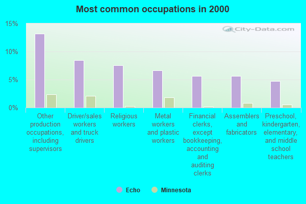 Echo, Minnesota (MN 56237) profile: population, maps, real estate ...