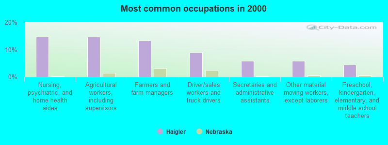 Haigler, Nebraska (NE 69030) profile: population, maps, real estate ...