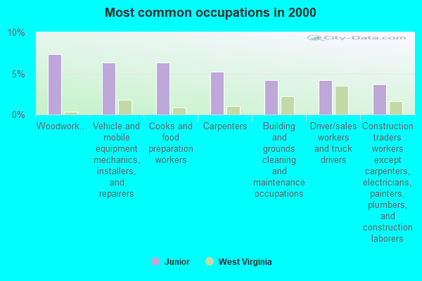 Junior, West Virginia (WV 26275) profile: population, maps, real estate ...