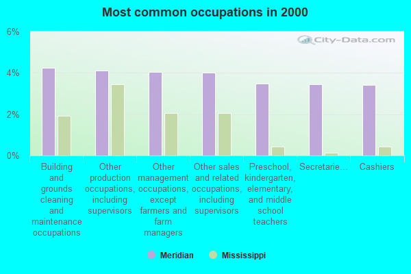 Meridian, Mississippi (MS 39307) profile: population, maps, real estate ...