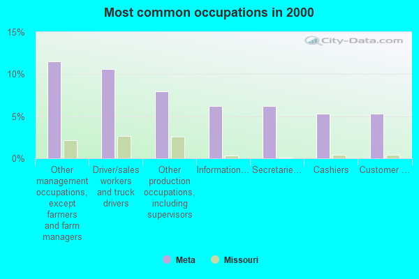 Meta, Missouri (MO 65058) profile: population, maps, real estate ...