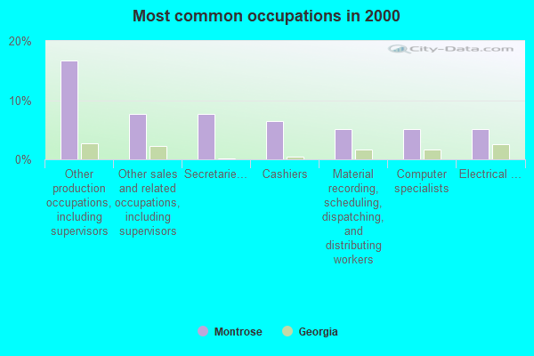 Montrose, Georgia (GA 31065) profile: population, maps, real estate ...