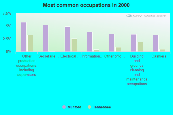 Munford, Tennessee (TN 38058) profile: population, maps, real estate ...