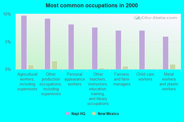 Napi HQ, New Mexico (NM 87401) profile: population, maps, real estate ...