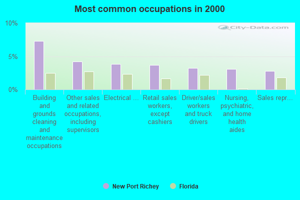 New Port Richey, Florida (FL 34652) profile: population, maps, real ...