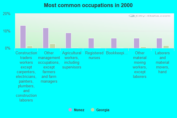 Nunez, Georgia (GA 30448) profile: population, maps, real estate ...