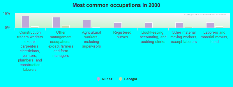 Nunez, Georgia (GA 30448) profile: population, maps, real estate ...