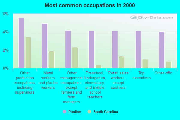 Pauline, South Carolina (SC 29374) profile: population, maps, real ...