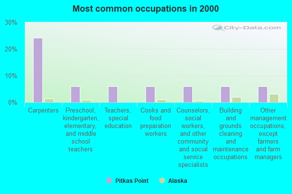 Pitkas Point, Alaska (AK 99658) profile: population, maps, real estate ...