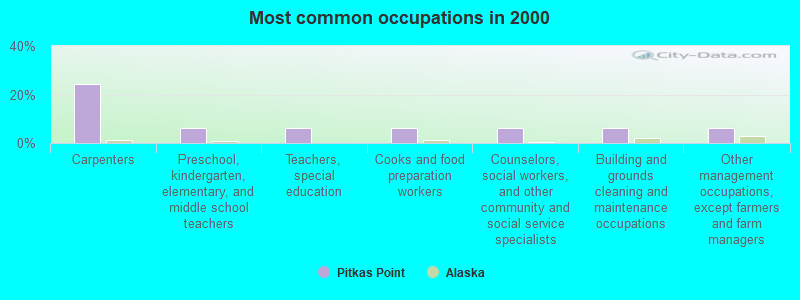 Pitkas Point, Alaska (AK 99658) profile: population, maps, real estate ...