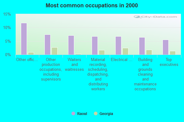 Raoul, Georgia (GA 30510) profile: population, maps, real estate ...