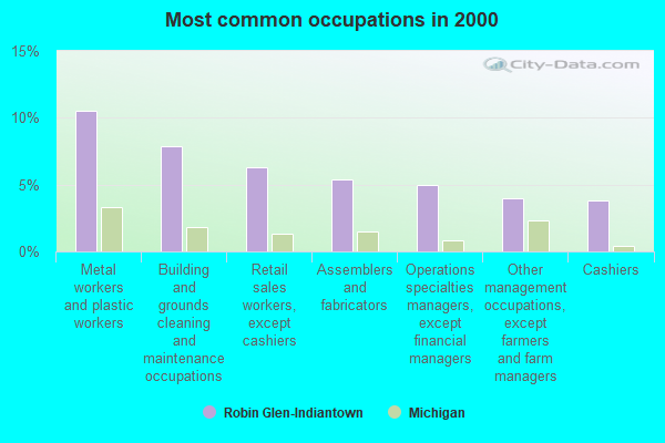Robin Glen-Indiantown, Michigan (MI 48601) profile: population, maps ...