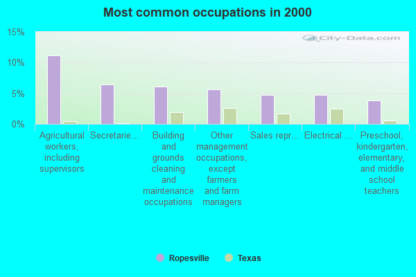 Ropesville, Texas (TX 79358) profile: population, maps, real estate ...