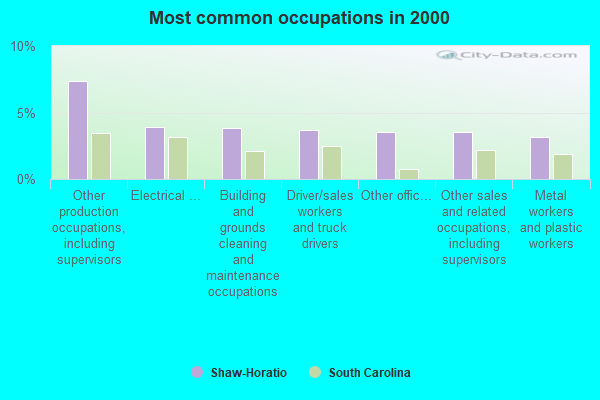 Shaw-Horatio, South Carolina (SC 29154) profile: population, maps, real ...