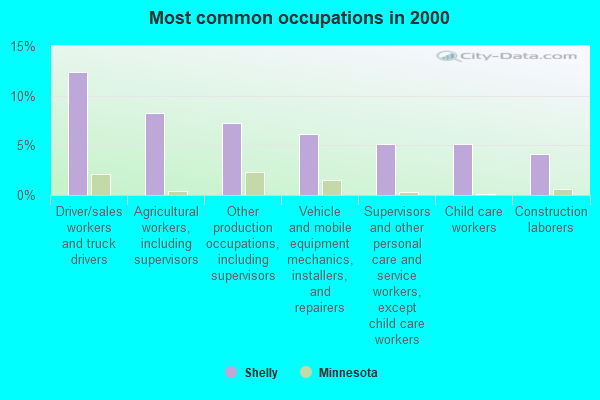 Shelly, Minnesota (MN 56581) profile: population, maps, real estate ...