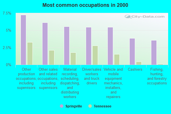 Springville, Tennessee (TN 38256) profile: population, maps, real ...