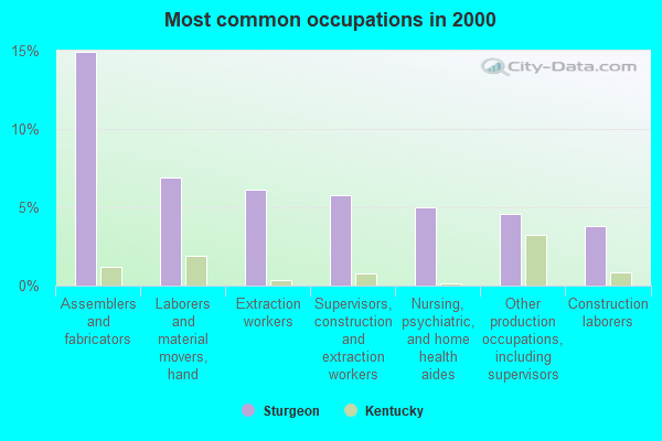 Sturgeon, Kentucky (KY 41314) profile: population, maps, real estate ...