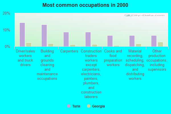 Turin, Georgia (GA 30289) profile: population, maps, real estate ...