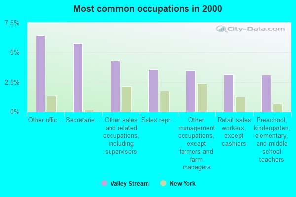 Valley Stream, New York (NY 11580) profile: population, maps, real ...