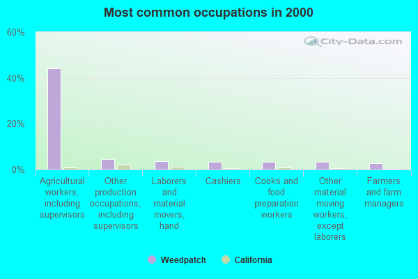 Weedpatch, California (CA 93241) profile: population, maps, real estate ...