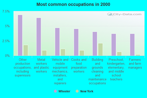 Wheeler, New York (NY 14810) profile: population, maps, real estate ...