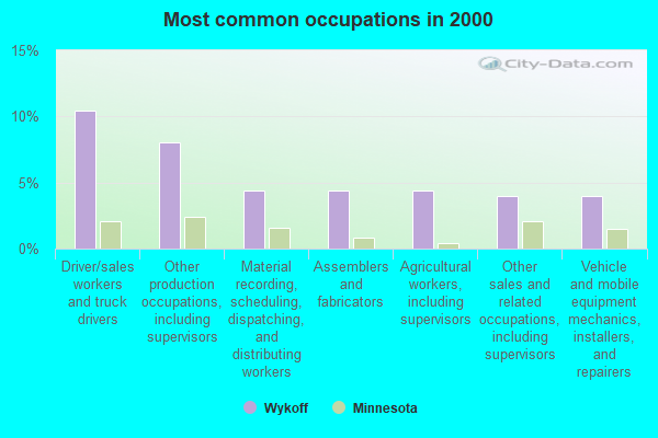 Wykoff, Minnesota (MN 55990) profile: population, maps, real estate ...