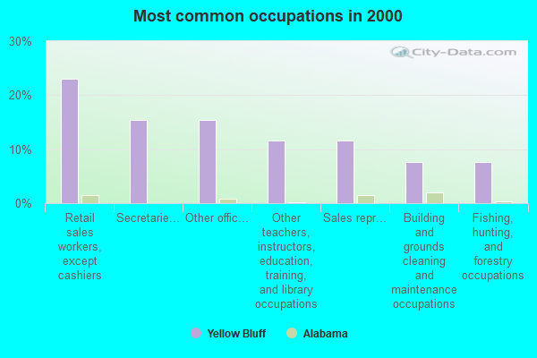 Yellow Bluff, Alabama (AL 36769) profile: population, maps, real estate ...