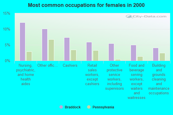 Braddock, Pennsylvania (PA 15104) profile: population, maps, real ...