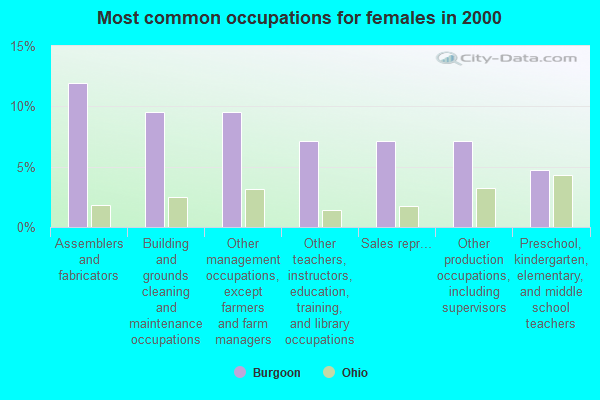 Burgoon, Ohio (OH 43407) profile: population, maps, real estate ...