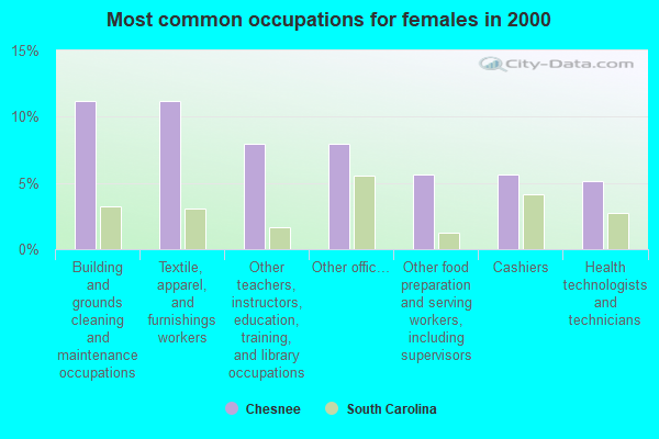 Chesnee, South Carolina (SC 29323) profile: population, maps, real ...