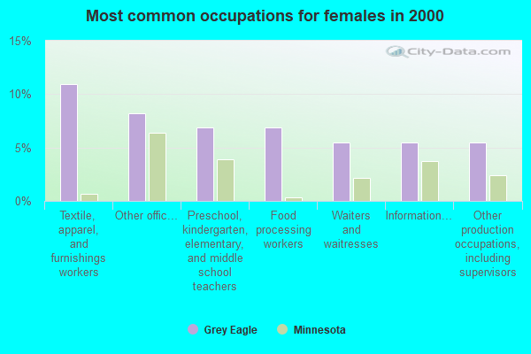 Grey Eagle, Minnesota (MN 56336) profile: population, maps, real estate ...