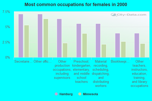 Hamburg, Minnesota (MN 55339) profile: population, maps, real estate ...