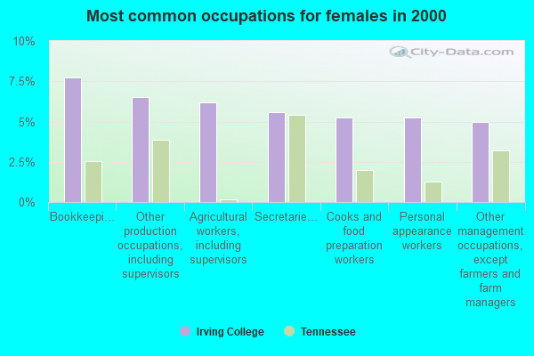 Irving College, Tennessee (TN 37110) profile: population, maps, real ...