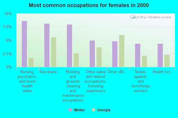 Metter, Georgia (GA 30439) profile: population, maps, real estate ...