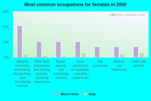 Mount Union, Iowa (IA 52644) profile: population, maps, real estate ...