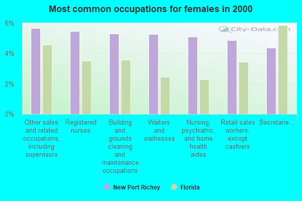New Port Richey, Florida (FL 34652) profile: population, maps, real ...