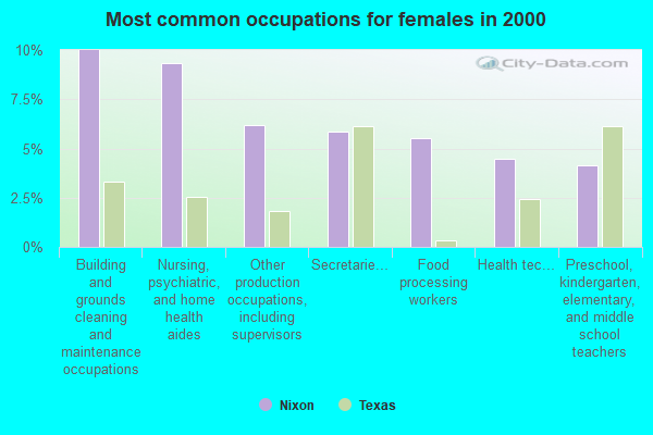 Nixon, Texas (TX 78140) profile: population, maps, real estate ...