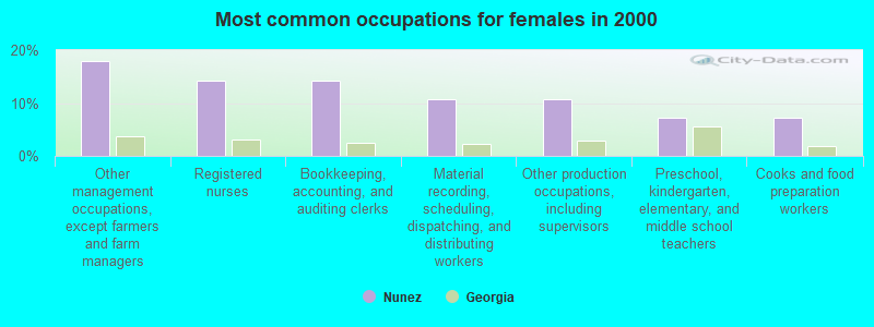 Nunez, Georgia (GA 30448) profile: population, maps, real estate ...
