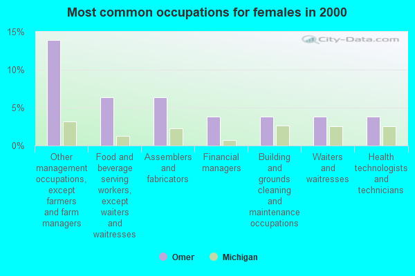 Omer, Michigan (MI 48749) profile: population, maps, real estate ...