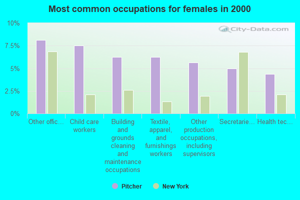 Pitcher, New York (NY 13136) profile: population, maps, real estate ...