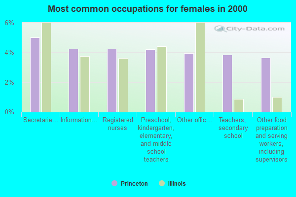 Princeton, Illinois (IL 61356) profile: population, maps, real estate ...