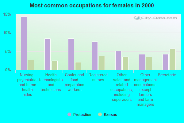 Protection, Kansas (KS 67127) profile: population, maps, real estate ...