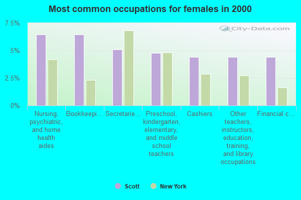 Scott, New York (NY 13077) profile: population, maps, real estate ...