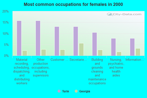 Turin, Georgia (GA 30289) profile: population, maps, real estate ...