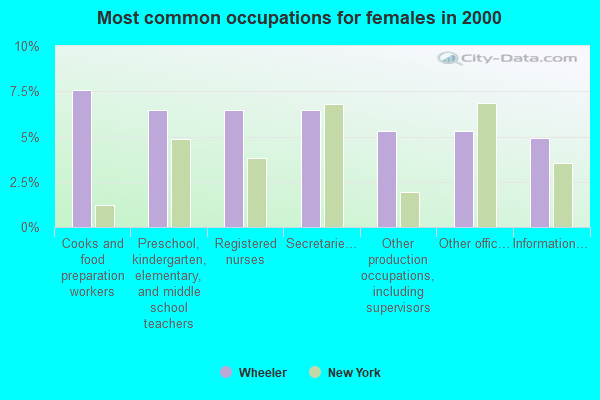 Wheeler, New York (NY 14810) profile: population, maps, real estate ...