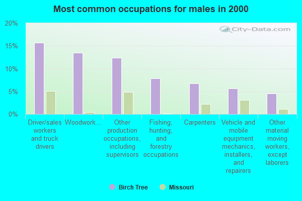Birch Tree, Missouri (MO 65438) profile: population, maps, real estate ...