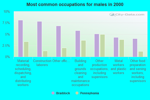 Braddock, Pennsylvania (PA 15104) profile: population, maps, real ...