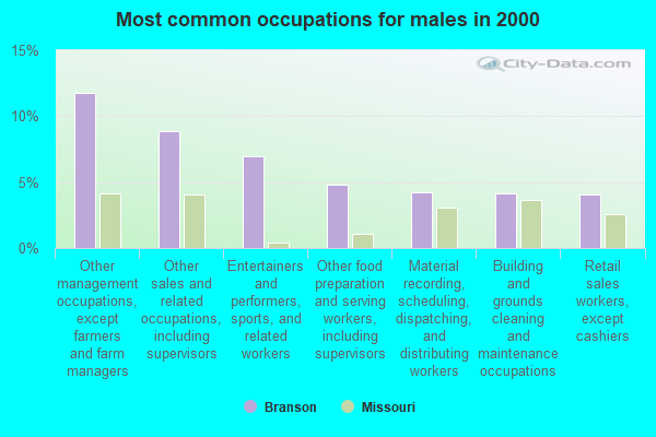 Branson, Missouri (MO 65616, 65737) profile: population, maps, real ...